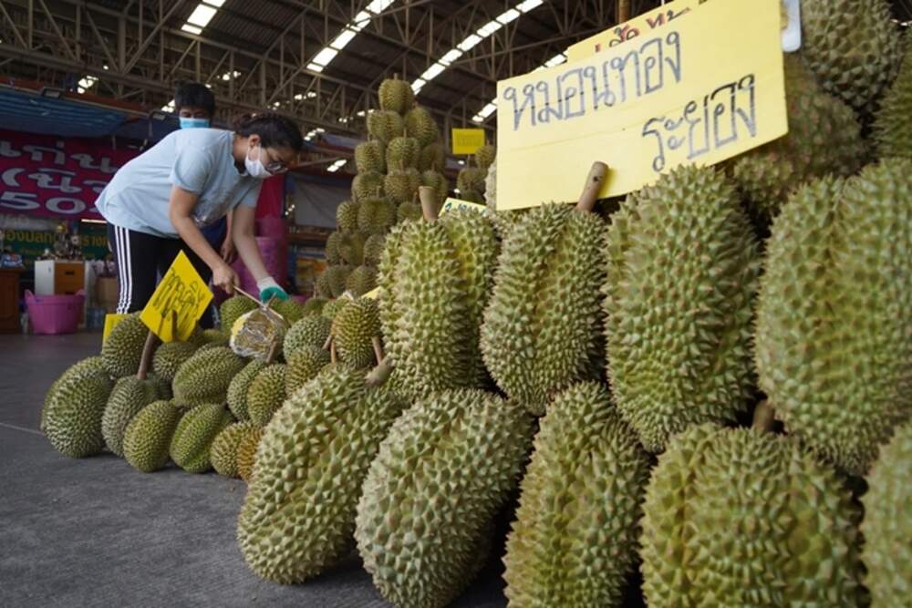 Durian Thailand makin laris di mata dunia, jauh kalahkan 'raja buah ...